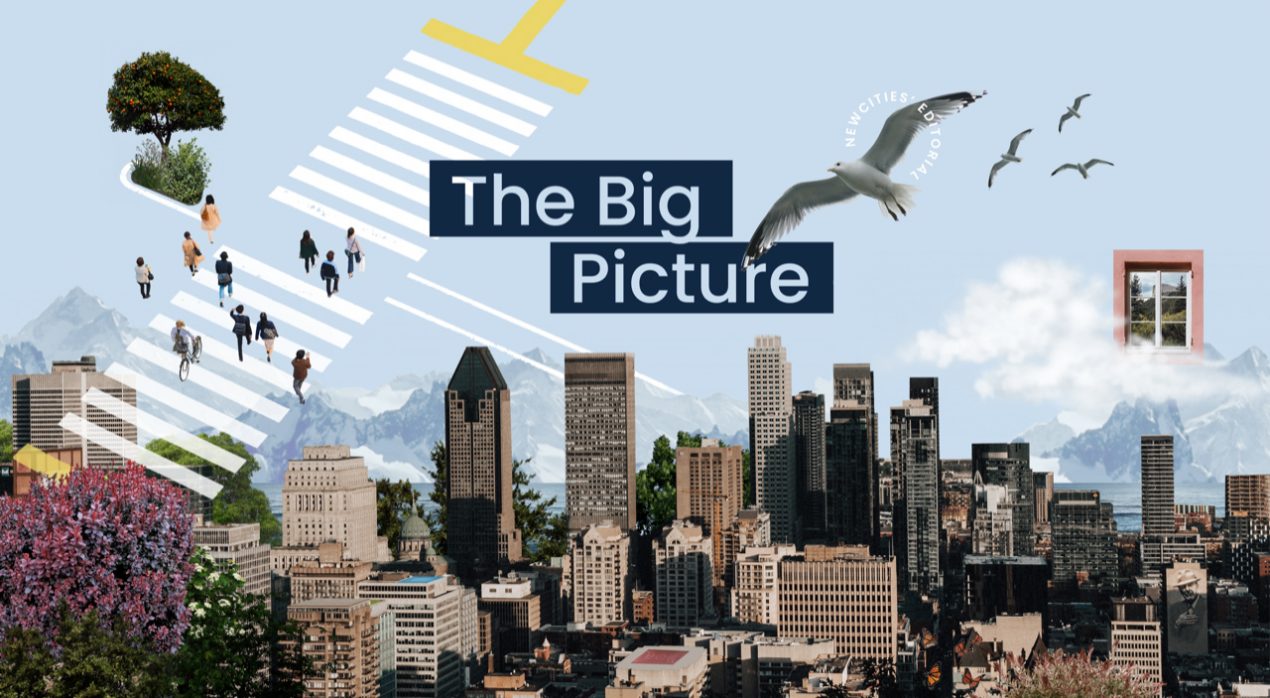 The Big Picture - NewCities
